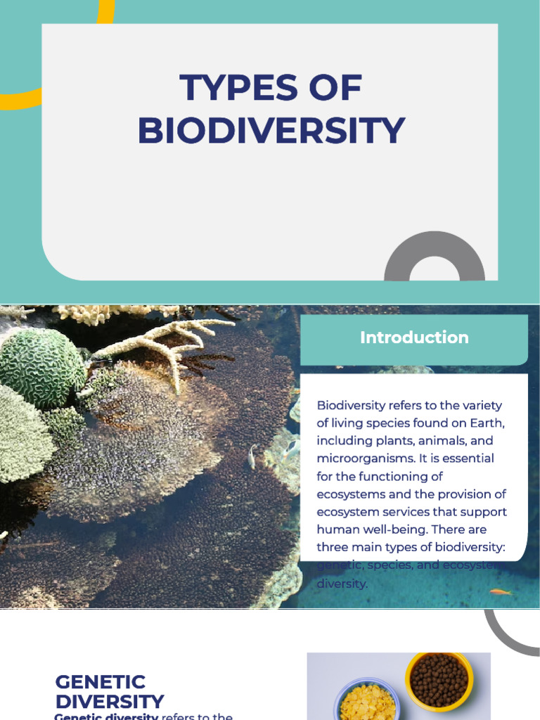Types of Biodiversity Types of Biodiversity Types of Biodiversity | PDF