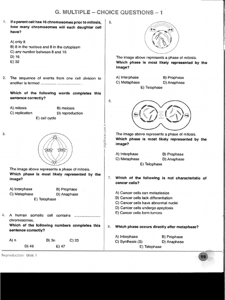 Cell Divisions - MCQ | PDF