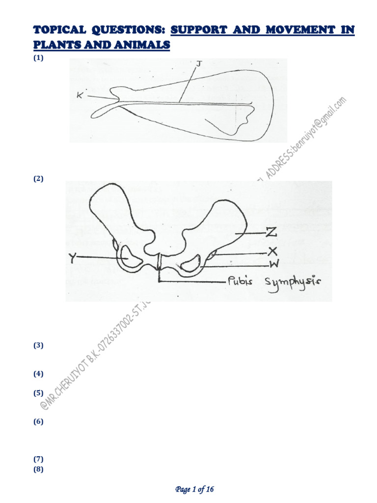 F4-Chapter 4 - Support and Movement in Plants and Animals - Topical ...
