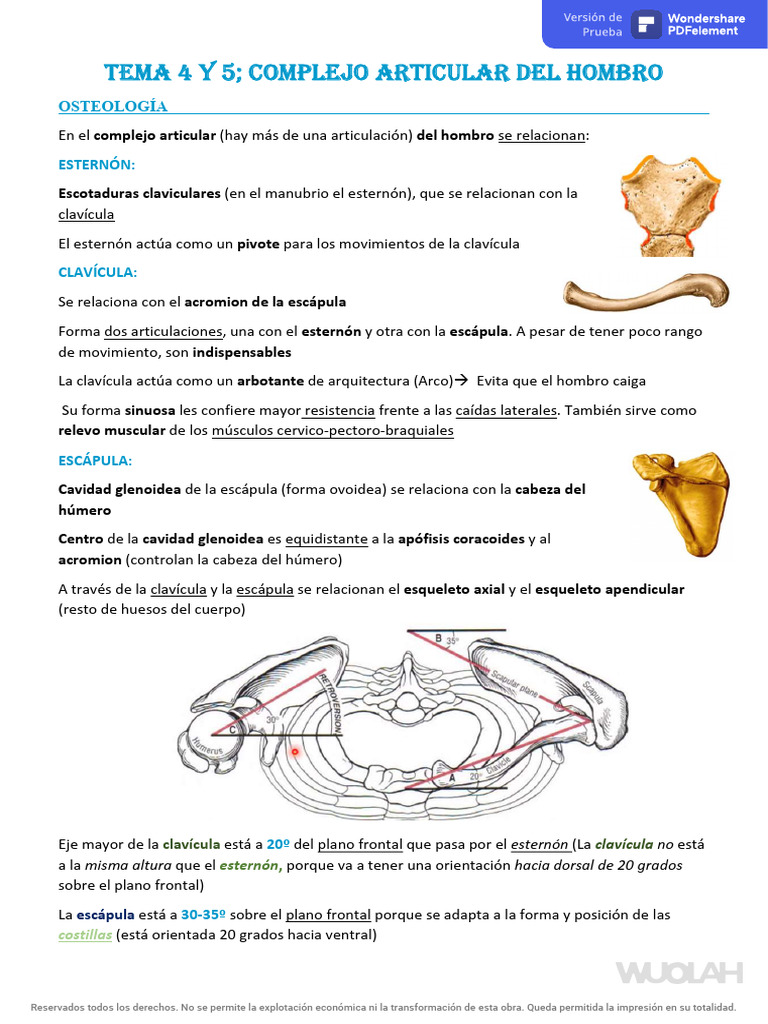 Tema-4 top tier | PDF