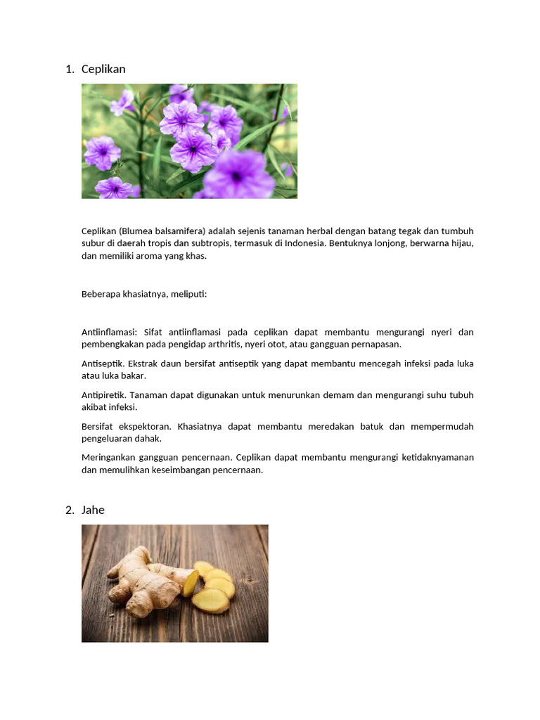 Makalah Raihan | PDF