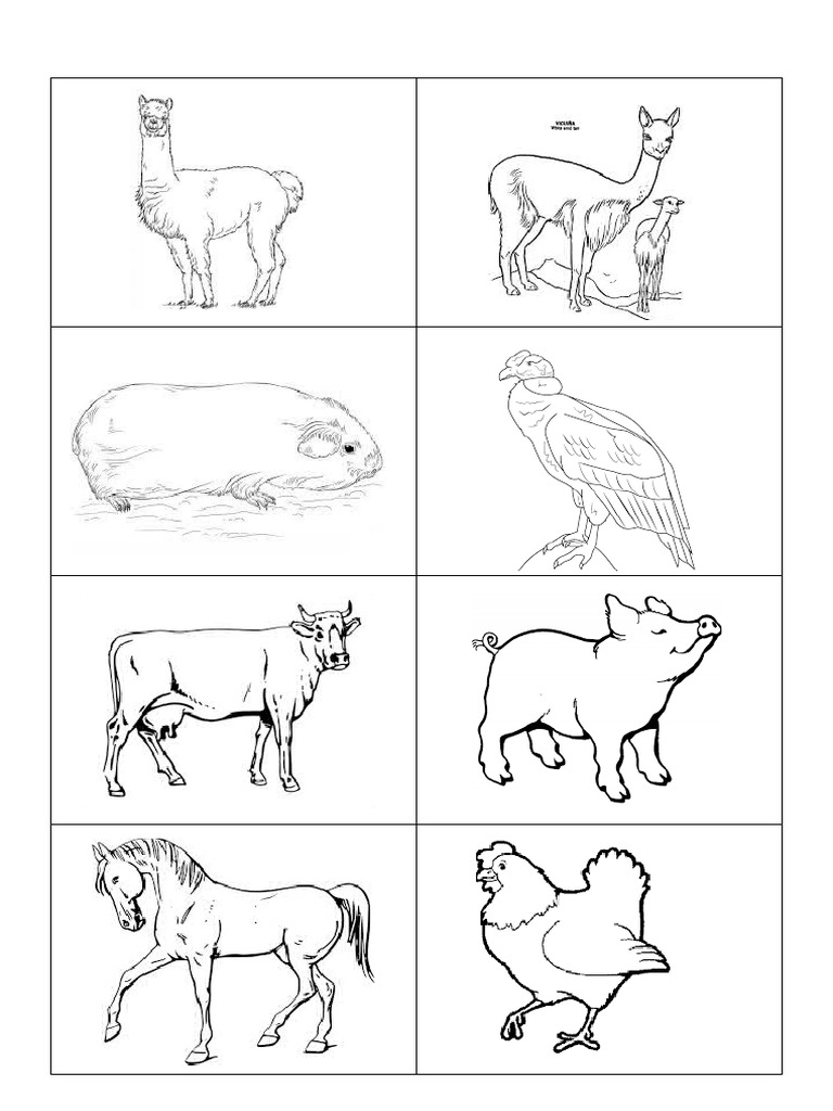 Animales Nativos y Foráneos | PDF