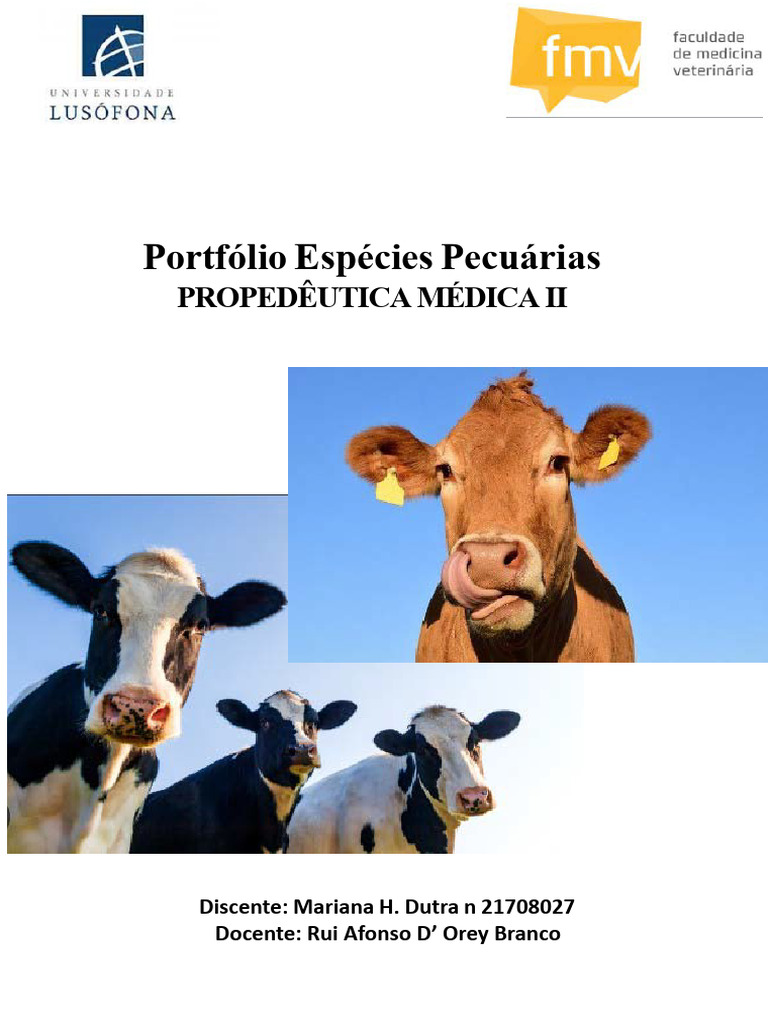 Portfólio vacas | PDF