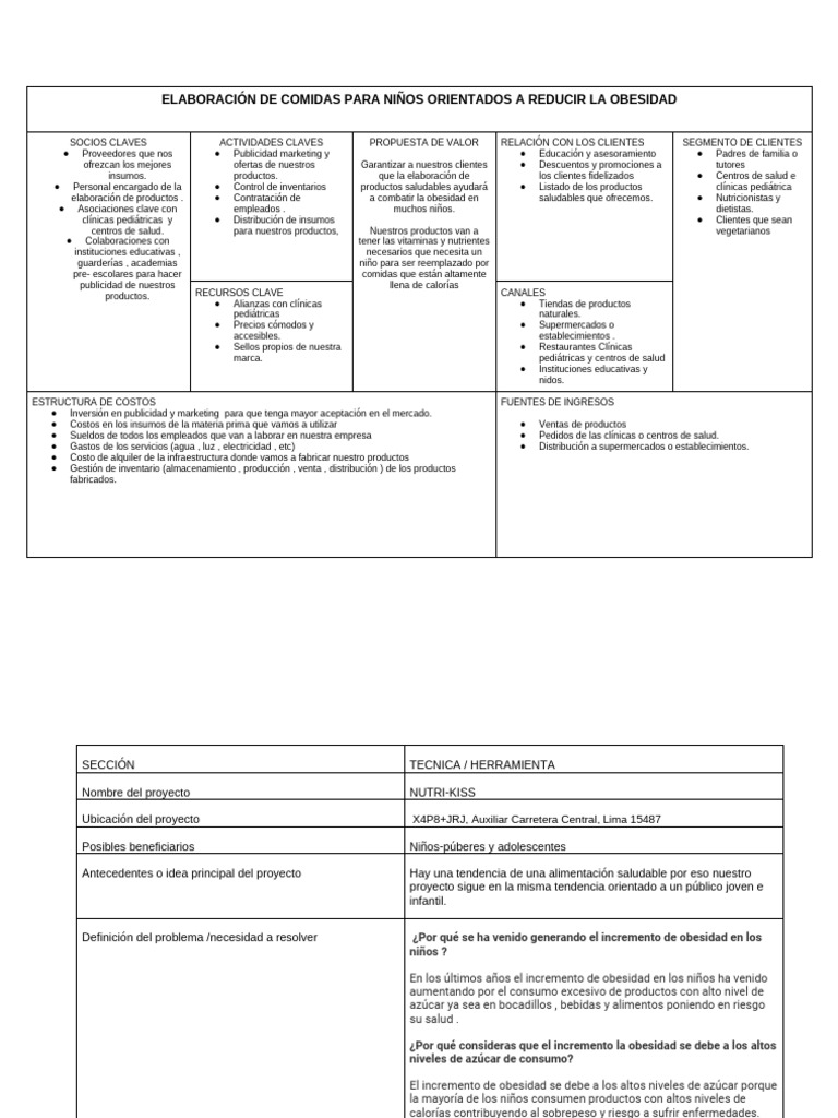 Modela Canva de Nuestro Proyecto | PDF