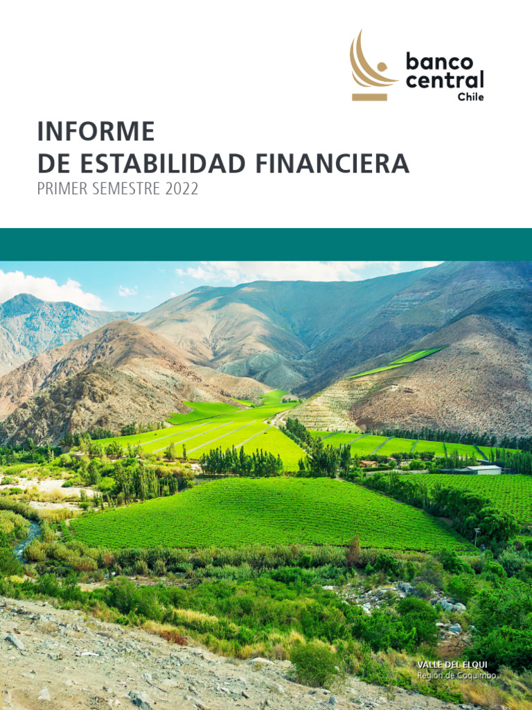 BCCH - Ief 2022-1s CH IV | PDF