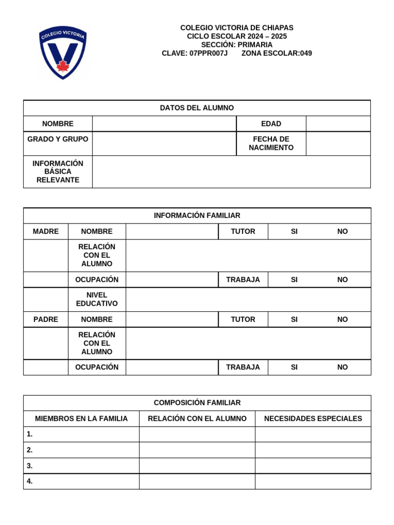 FORMATO DIAGNÓSTICO | PDF
