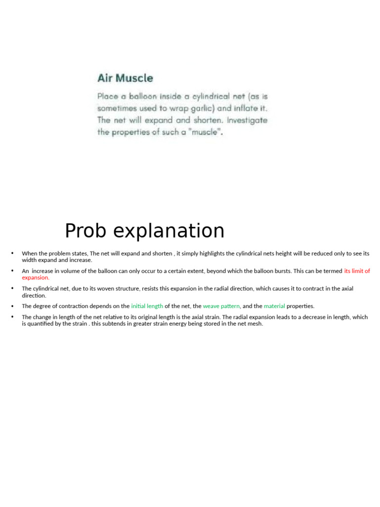 Pypt Air Muscle | PDF