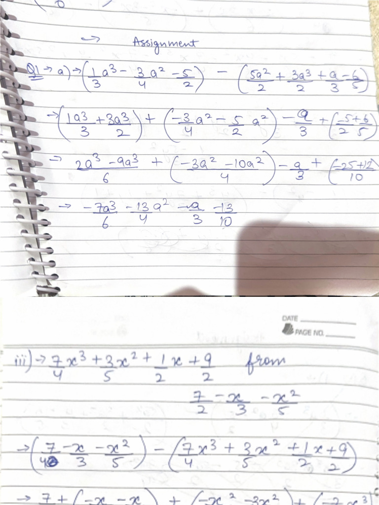 Assignment - Algebraic Expression | PDF