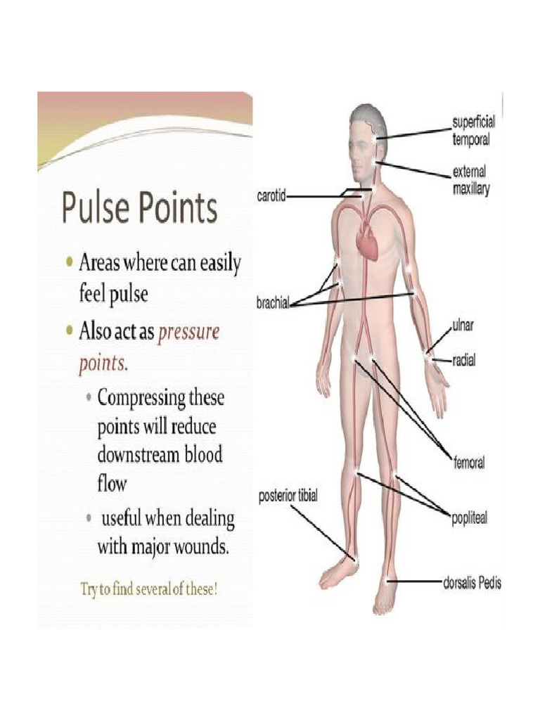 pulse-site-6-male | PDF