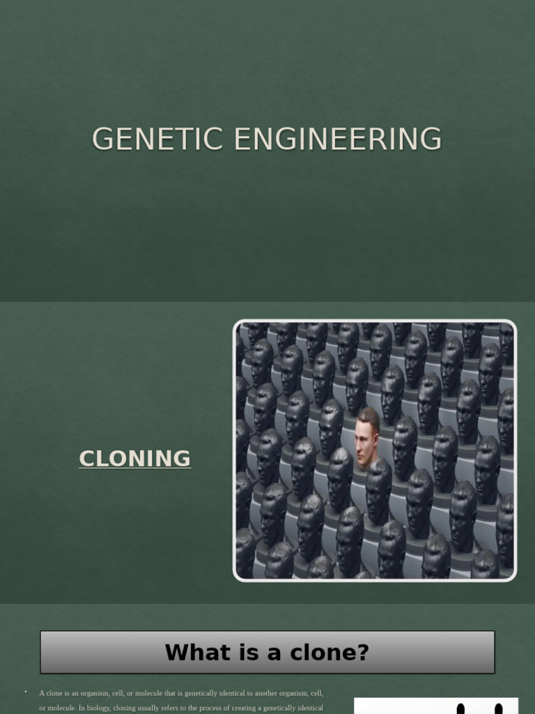 Genetic Engineering | PDF