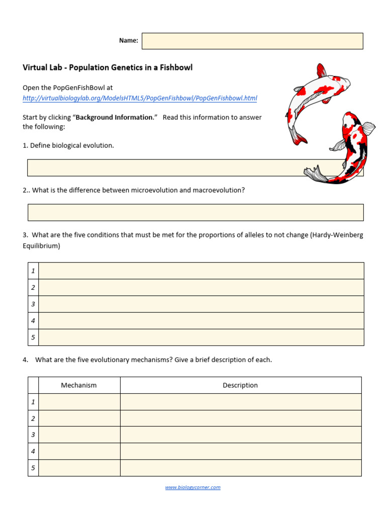 Hardy-Weinberg Equilibrium Fishbowl | PDF | Zygosity | Dominance (Genetics)