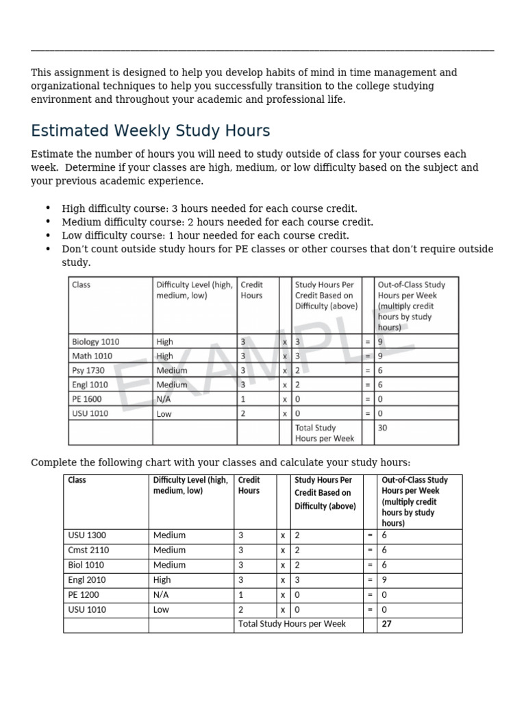 Time Management Part 1 | PDF