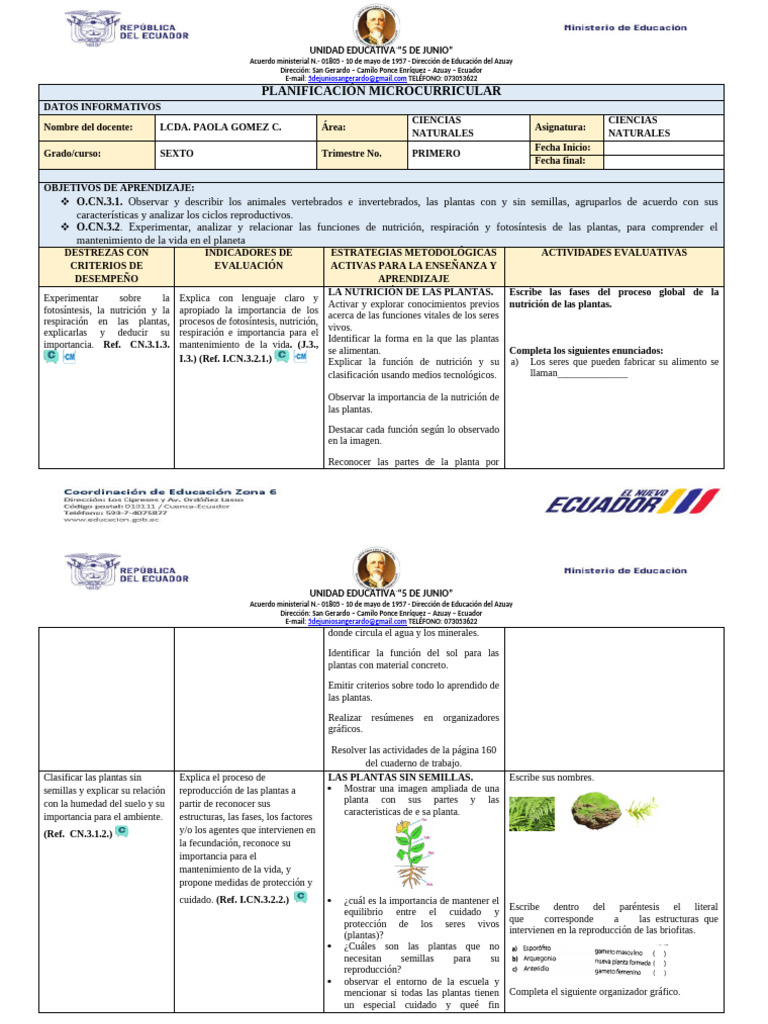 PLANIFICACIÓN Ciencias | PDF