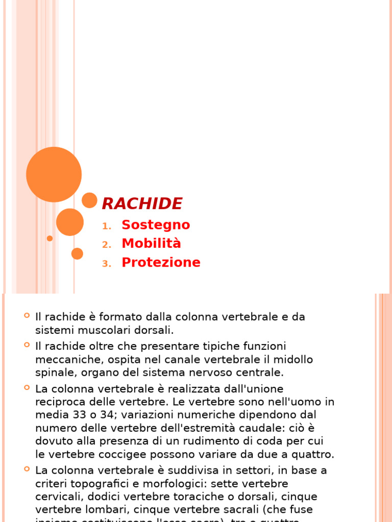 Rachide Generalità | PDF
