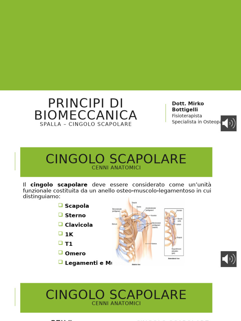 4-Spalla Cingolo Scapolare | PDF