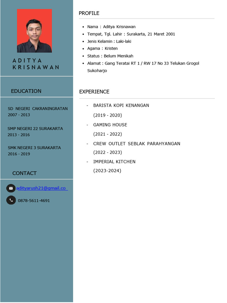 Aditya Krisnawan CV | PDF