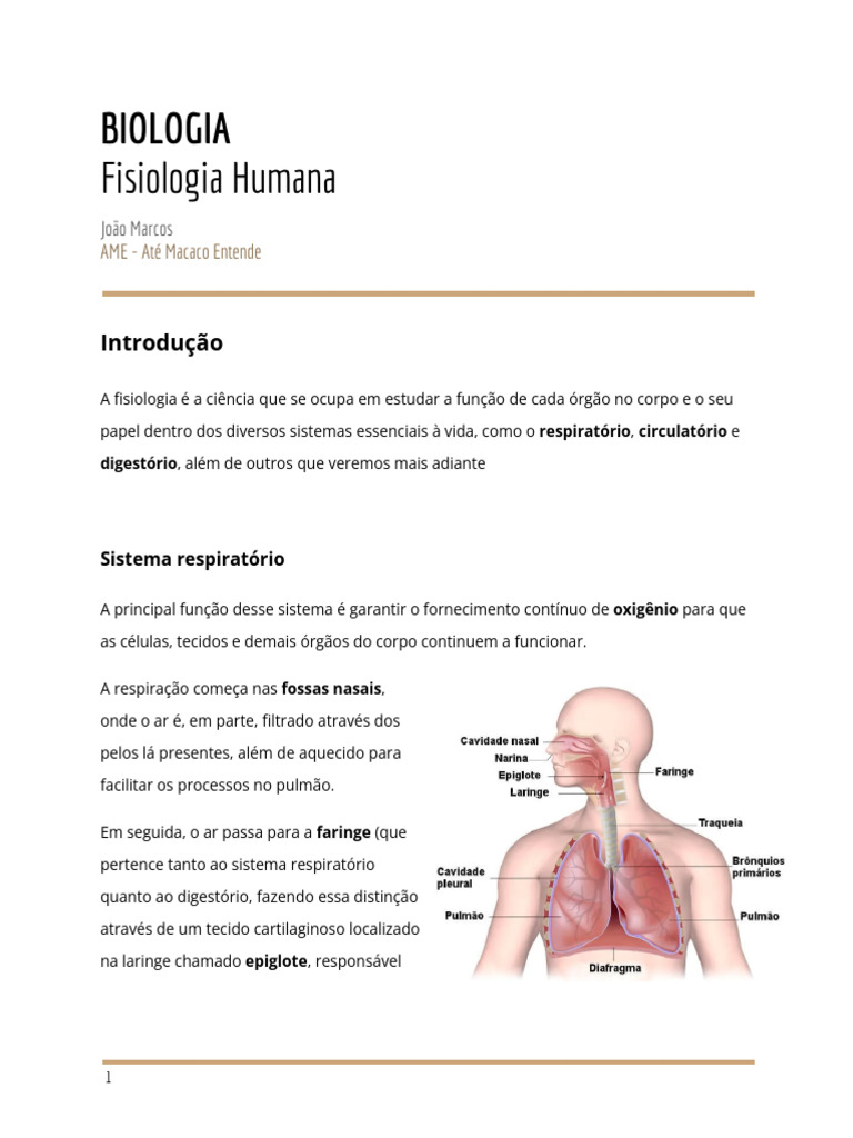 Fisiologia Humana-2 | PDF