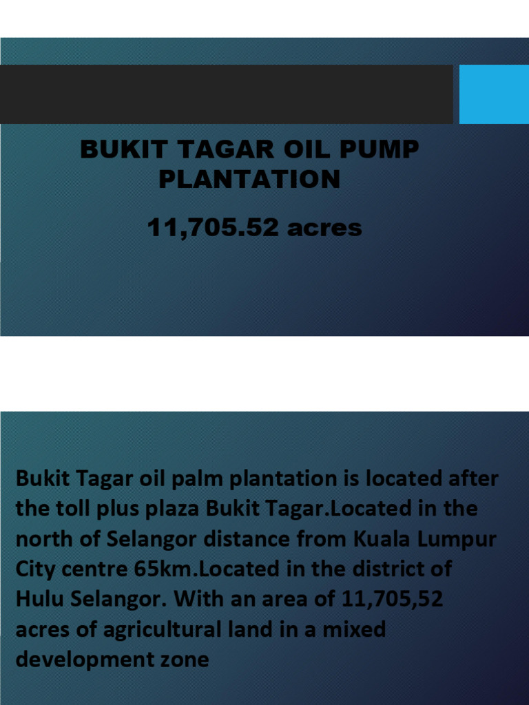 Bukit Tagar Sawit | PDF