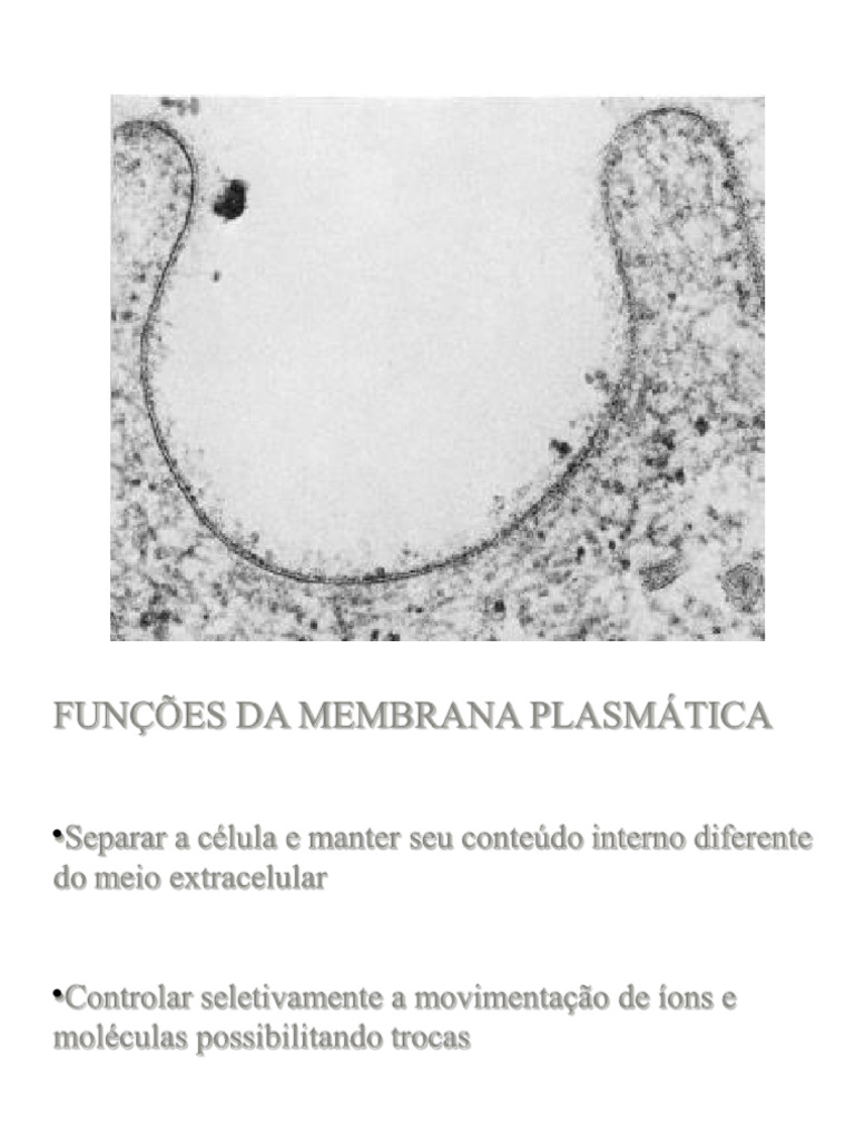 Membranas Celulares | PDF