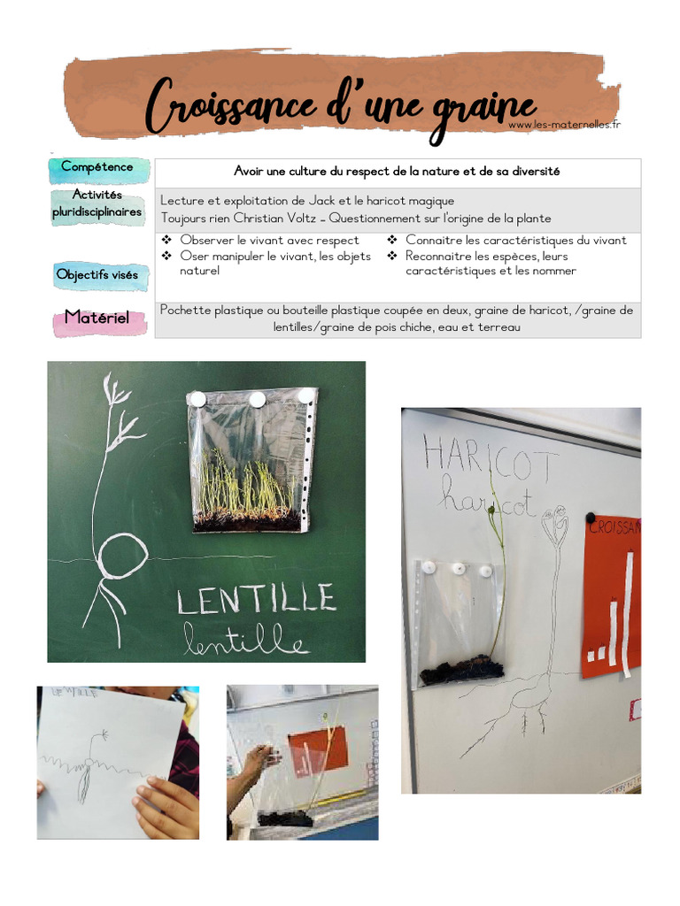 Croissance d'une graine | PDF