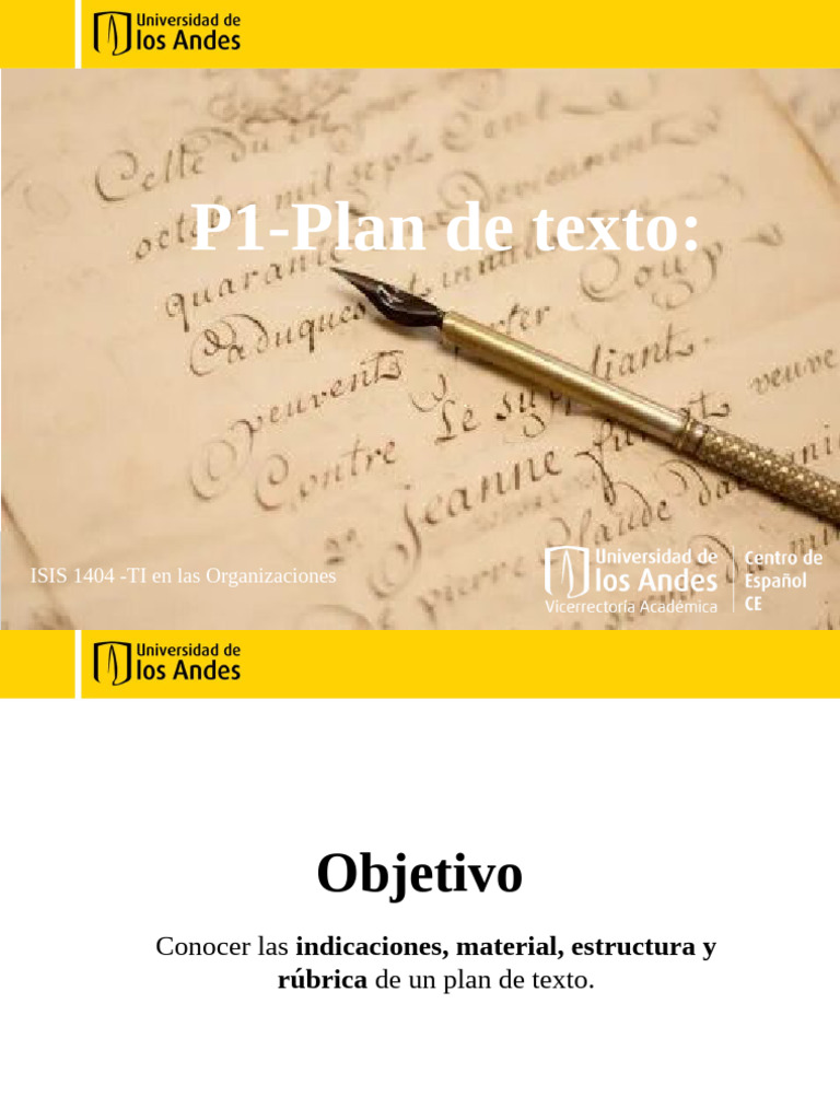 P1-Plan de Texto - Instrucciones | PDF