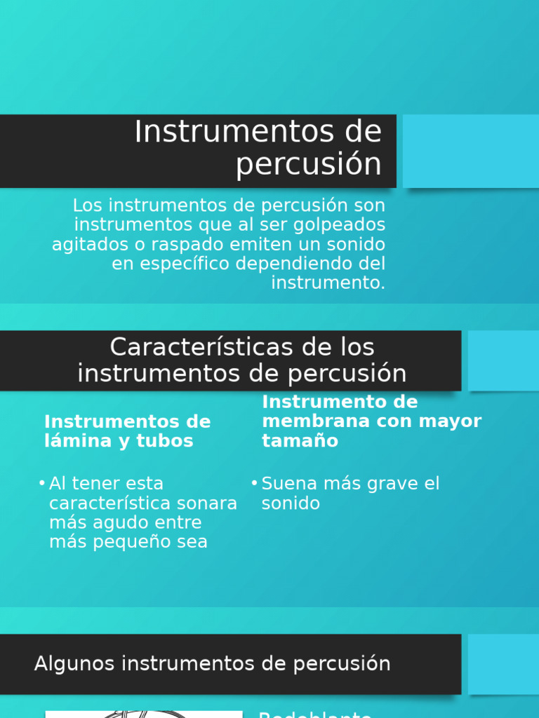 Instrumentos de Percusión | PDF