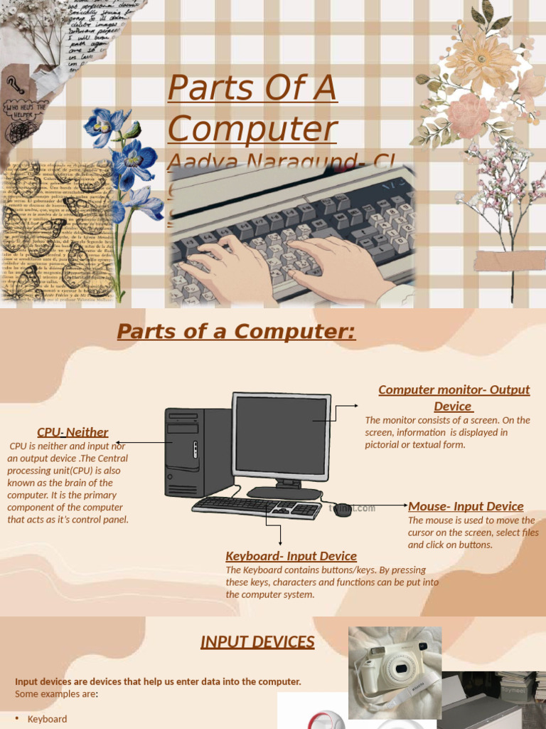 Summer computer project | PDF