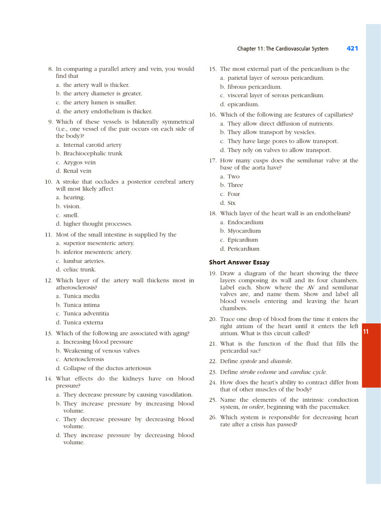 Short Answer Essay | PDF
