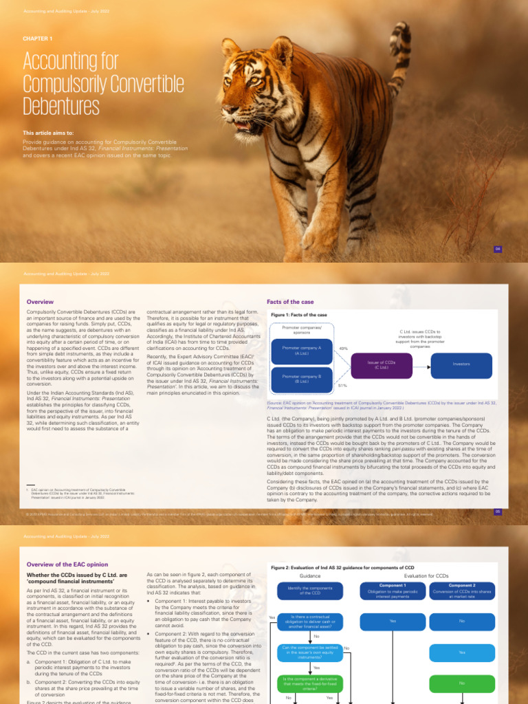 Chapter 1 Aau Accounting For Compulsorily Convertible Debentures | PDF