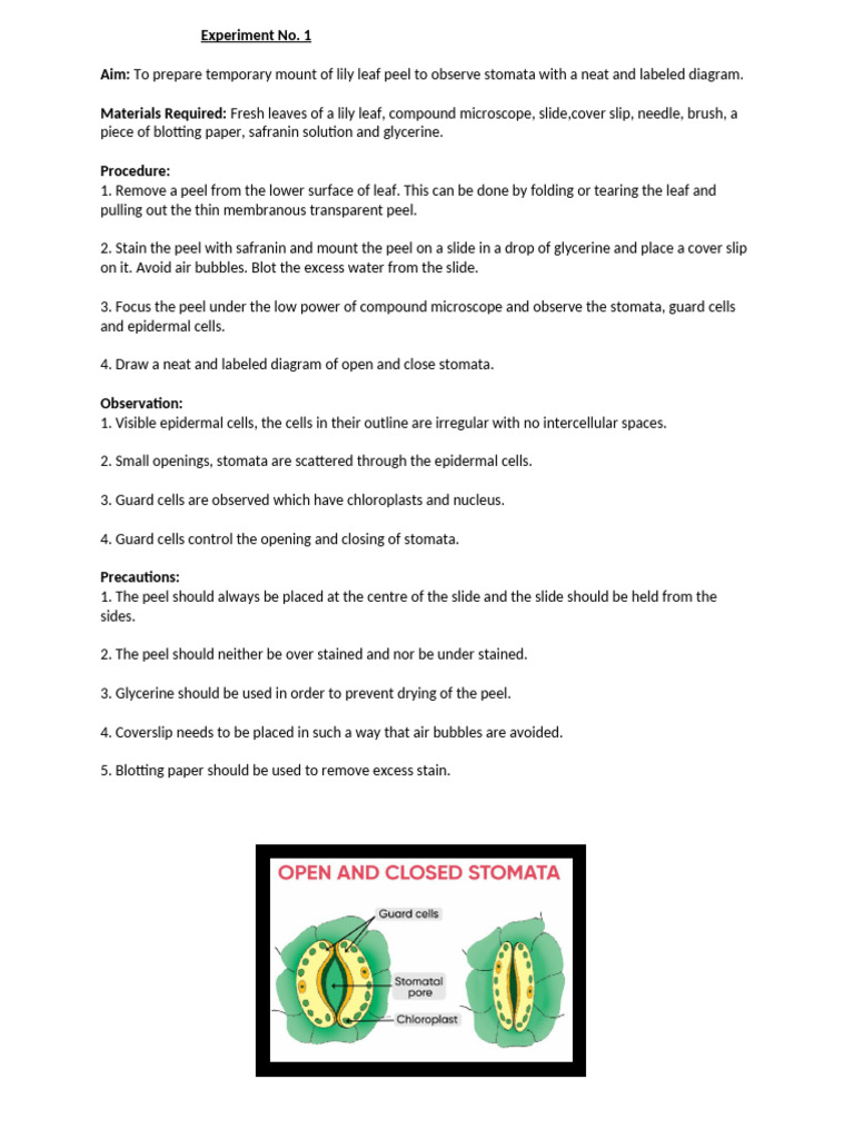 Experiment 1 (BIO) | PDF