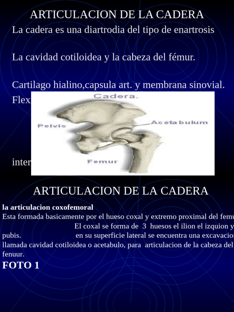 Articulacion de La Cadera | PDF