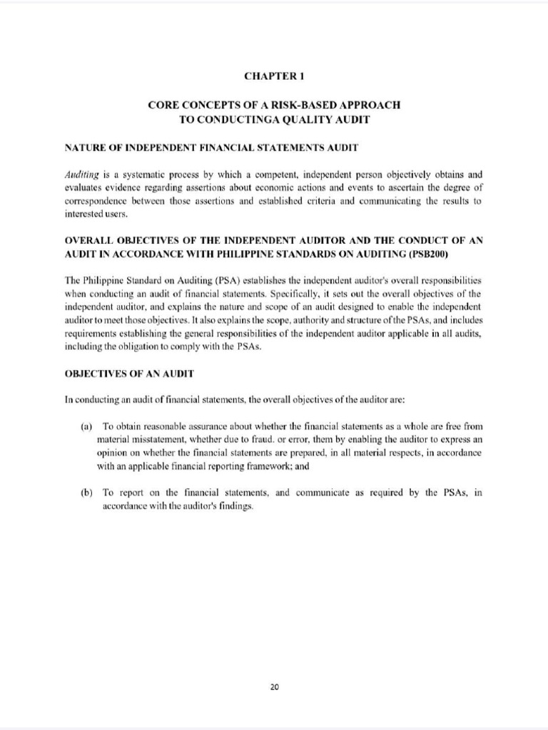 Chapter 1 (Audit) | PDF
