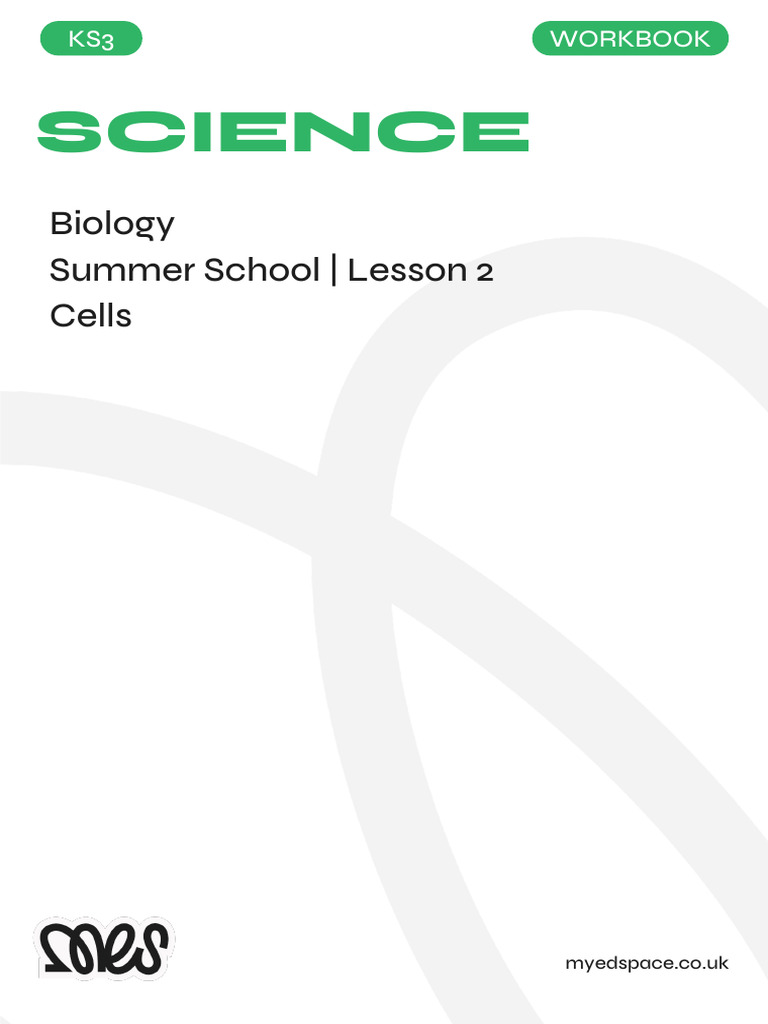 Ks3-Lesson-2-Workbook Myedspace | PDF