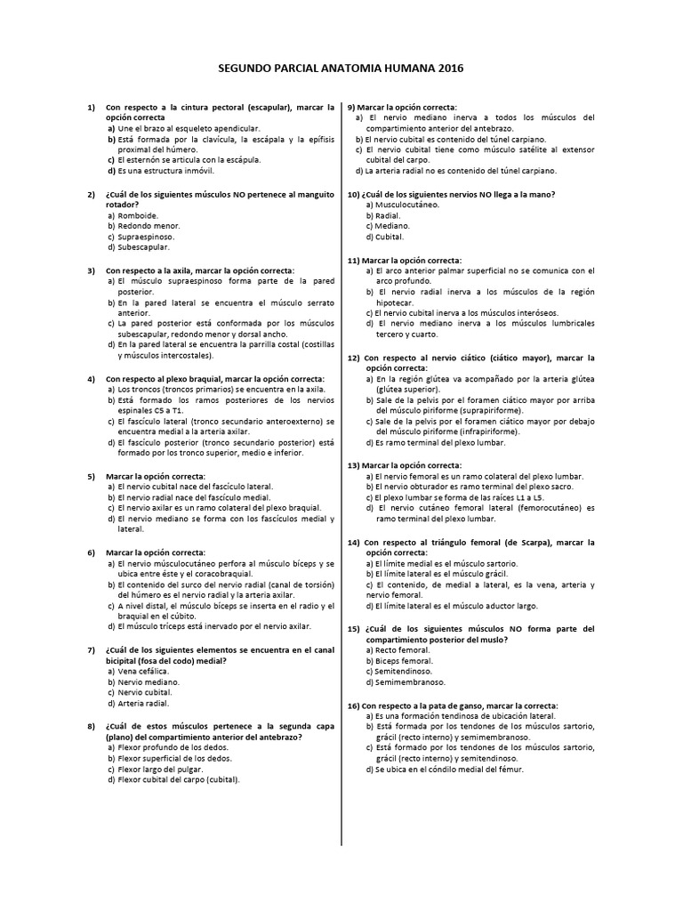 Segundo Parcial Anatomia Humana 2016 | PDF