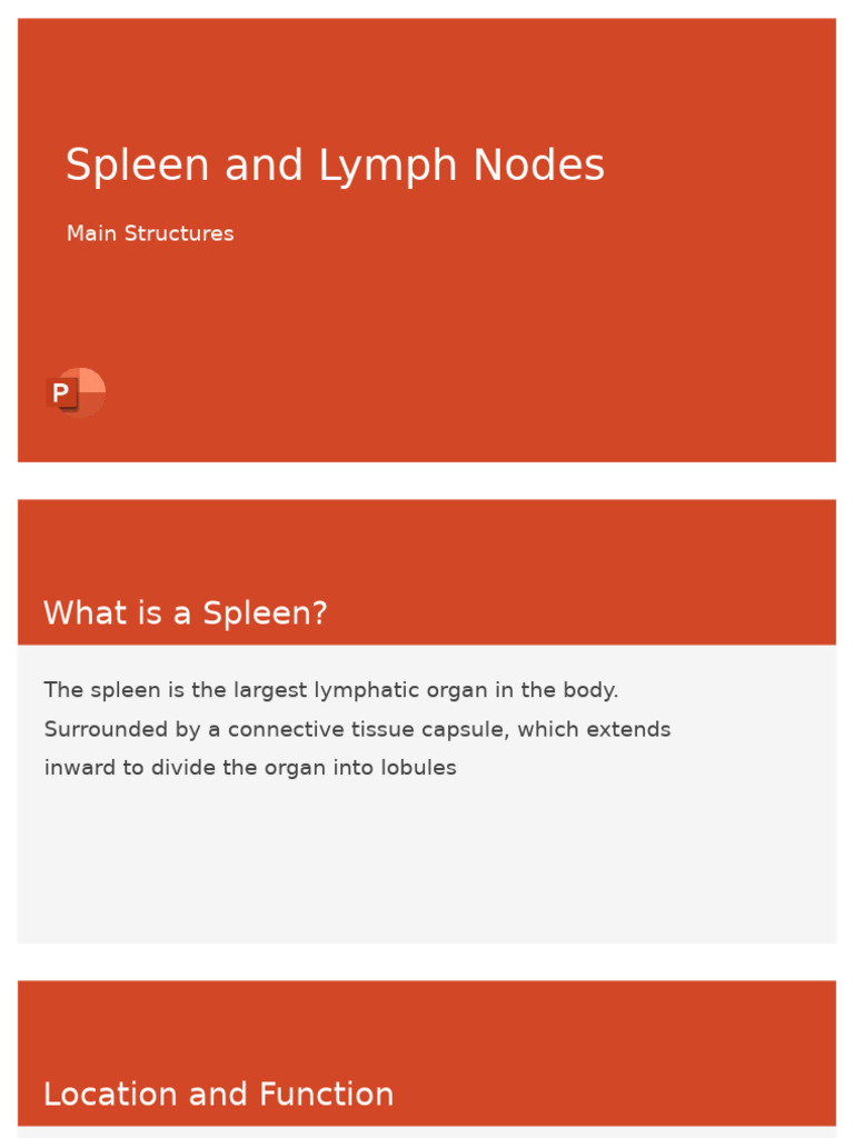 Lymph Nodes And Spleen Pdf