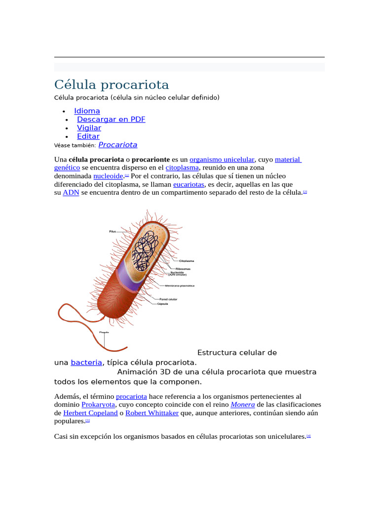 Célula Procariota | PDF