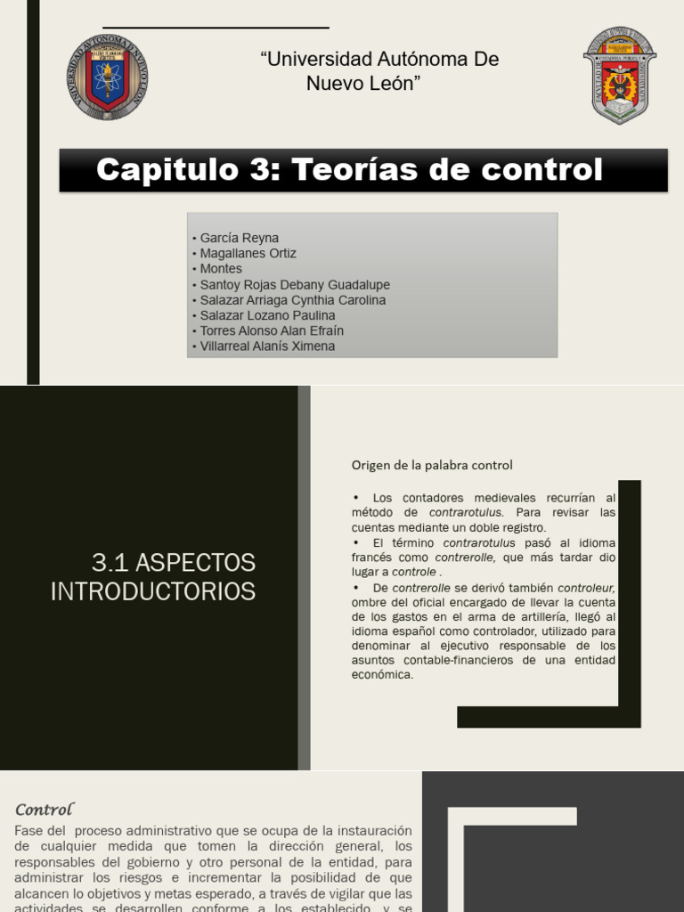 Capitulo 3 | PDF | Auditoría | Planificación