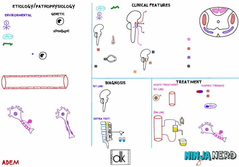 Acute Disseminated Encephalomyelitis ADEM | PDF