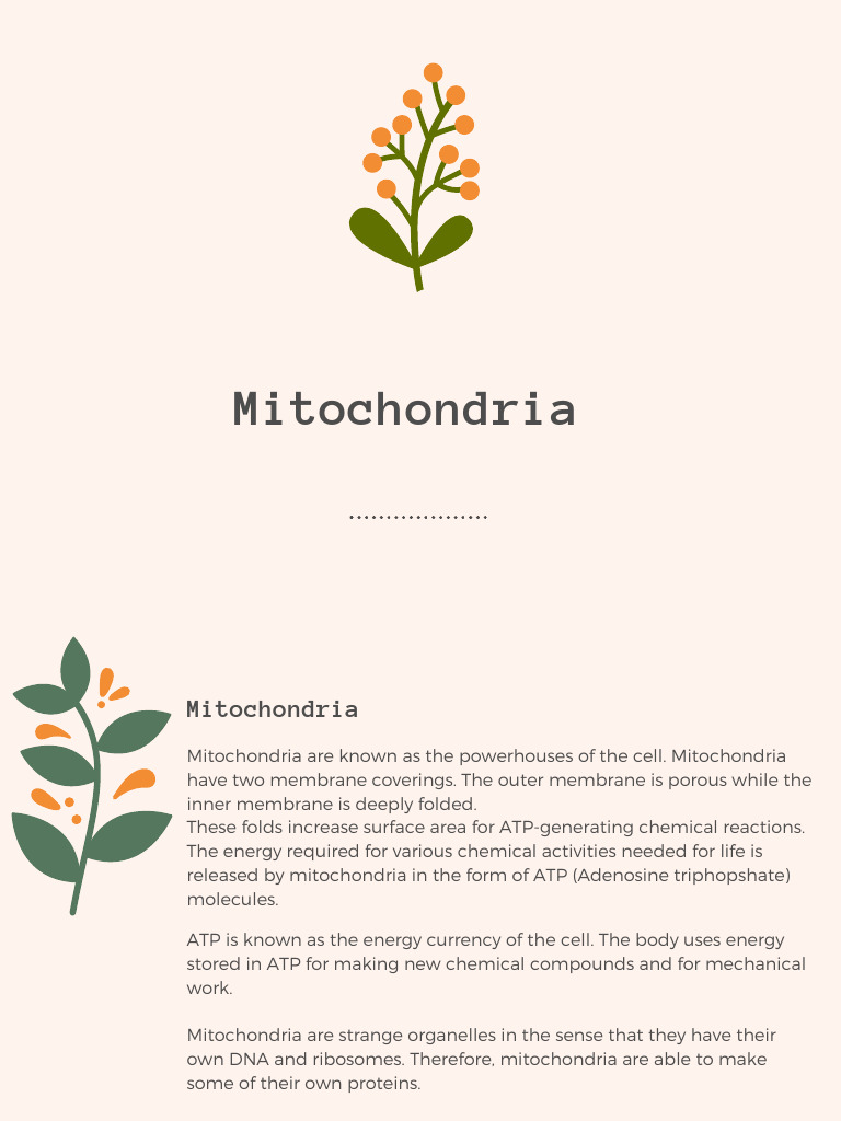 Mitochondria | PDF