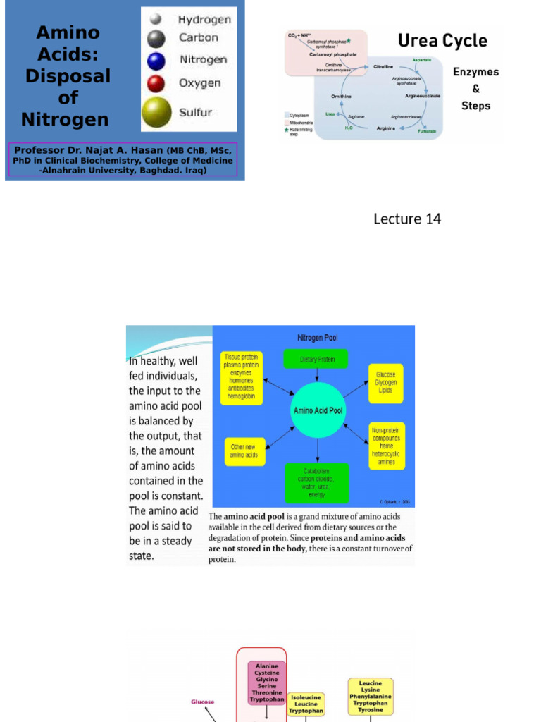 Presentation14 Pptx Pdf