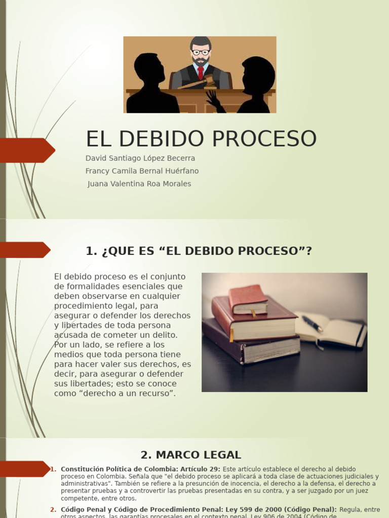 El Debido Proceso | PDF