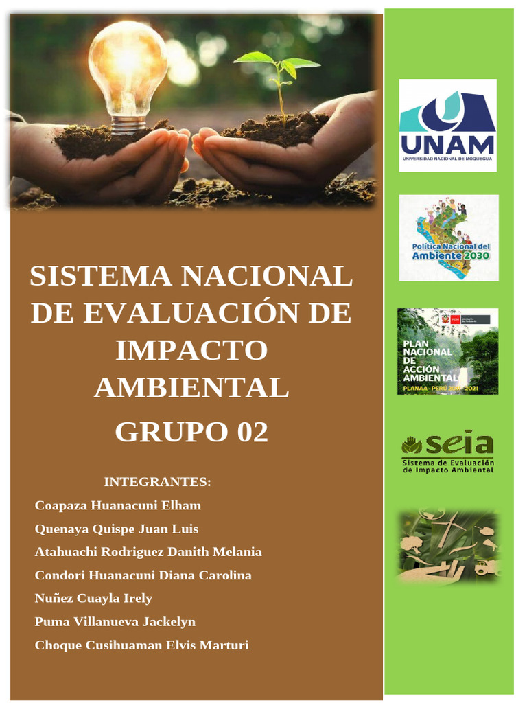 GRUPO 02_SEIA | PDF