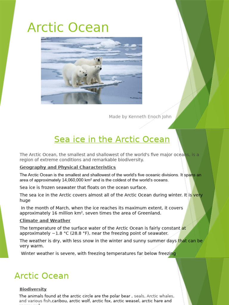 Artic Ocean | PDF