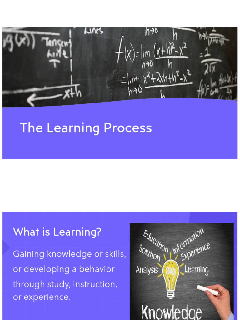 The Learning Process | PDF