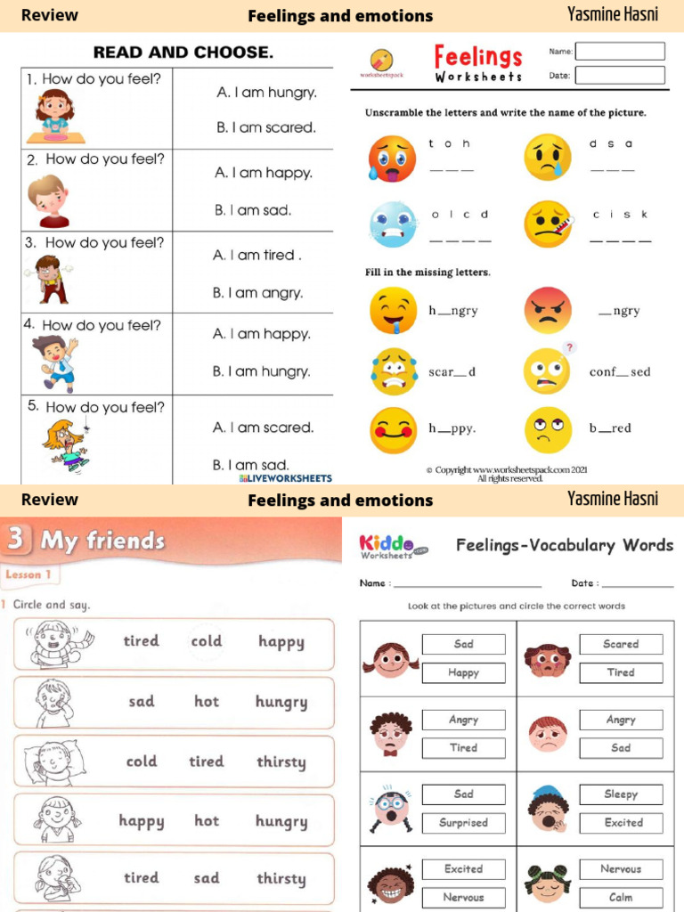 Feelings and Emotions | PDF