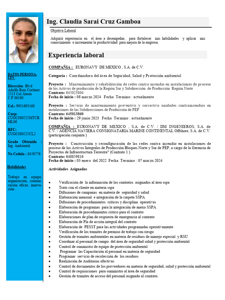 CV Claudia Cruz | PDF