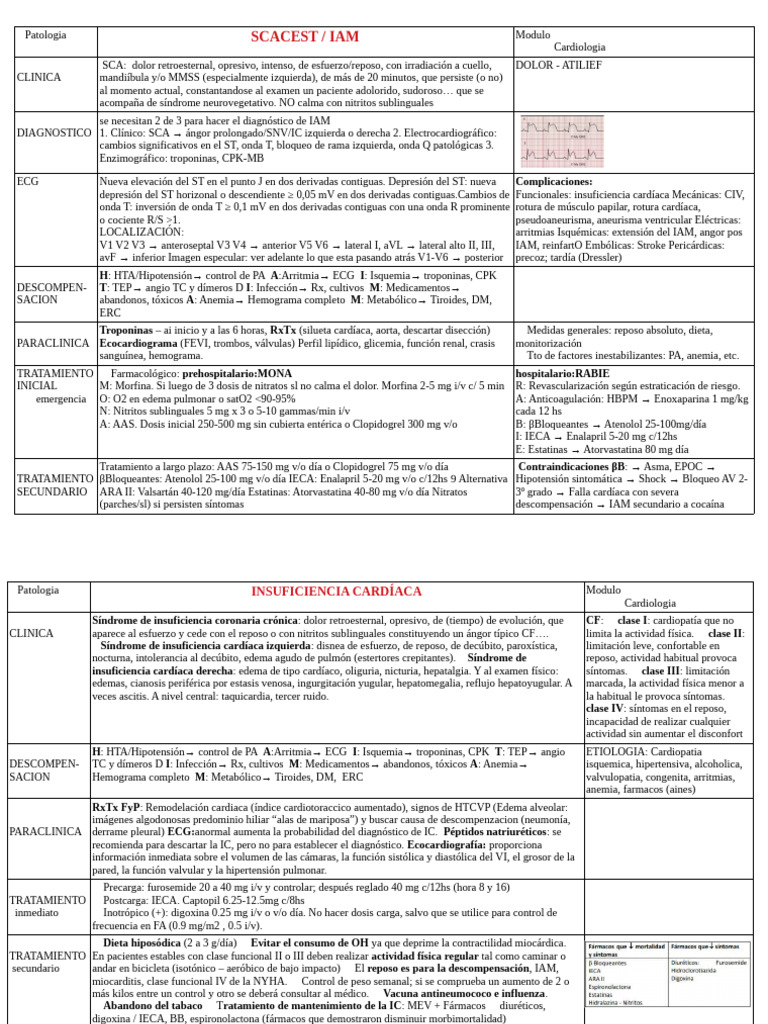 Esquemas Ecoe Medica 2023 | PDF