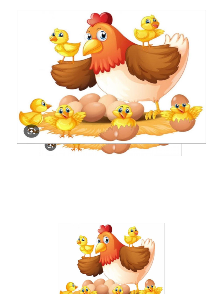 Gallina | PDF