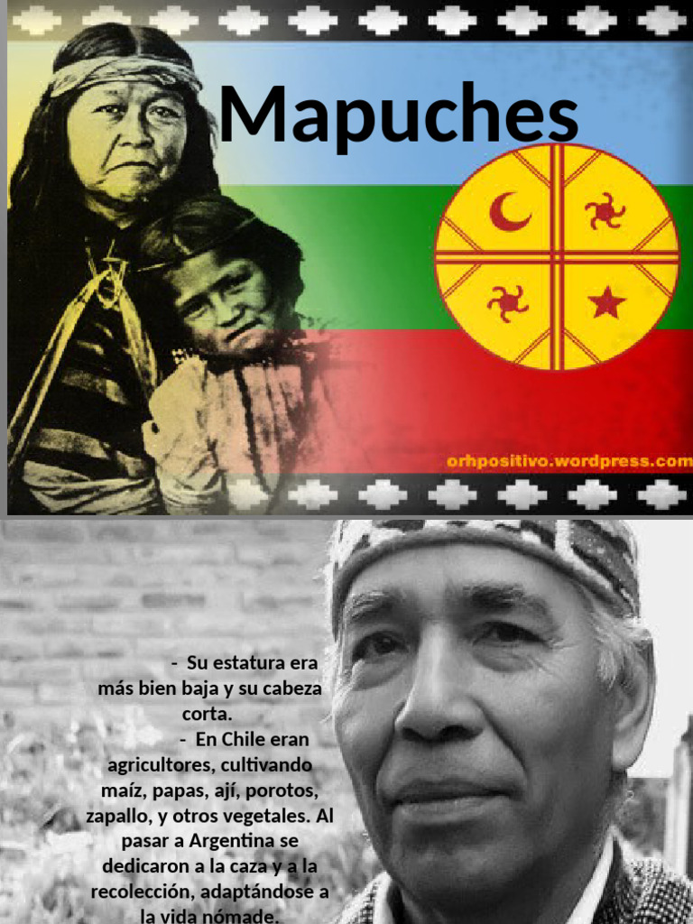Mapuches | PDF