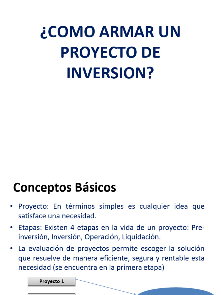 Como Armar Un Proyecto de Inversión | PDF | Flujo de caja descontado ...